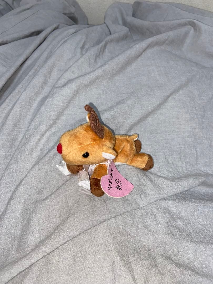 知念侑李 サイン入りトナカイ