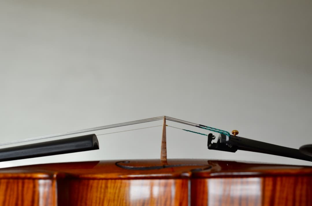 【新品】Gliga Vasile Maestro バイオリン 4/4