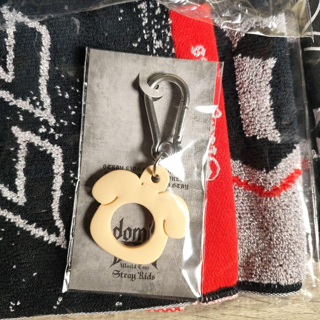 Stray Kids グッズ (Seungmin) スンミン その他 4点セット