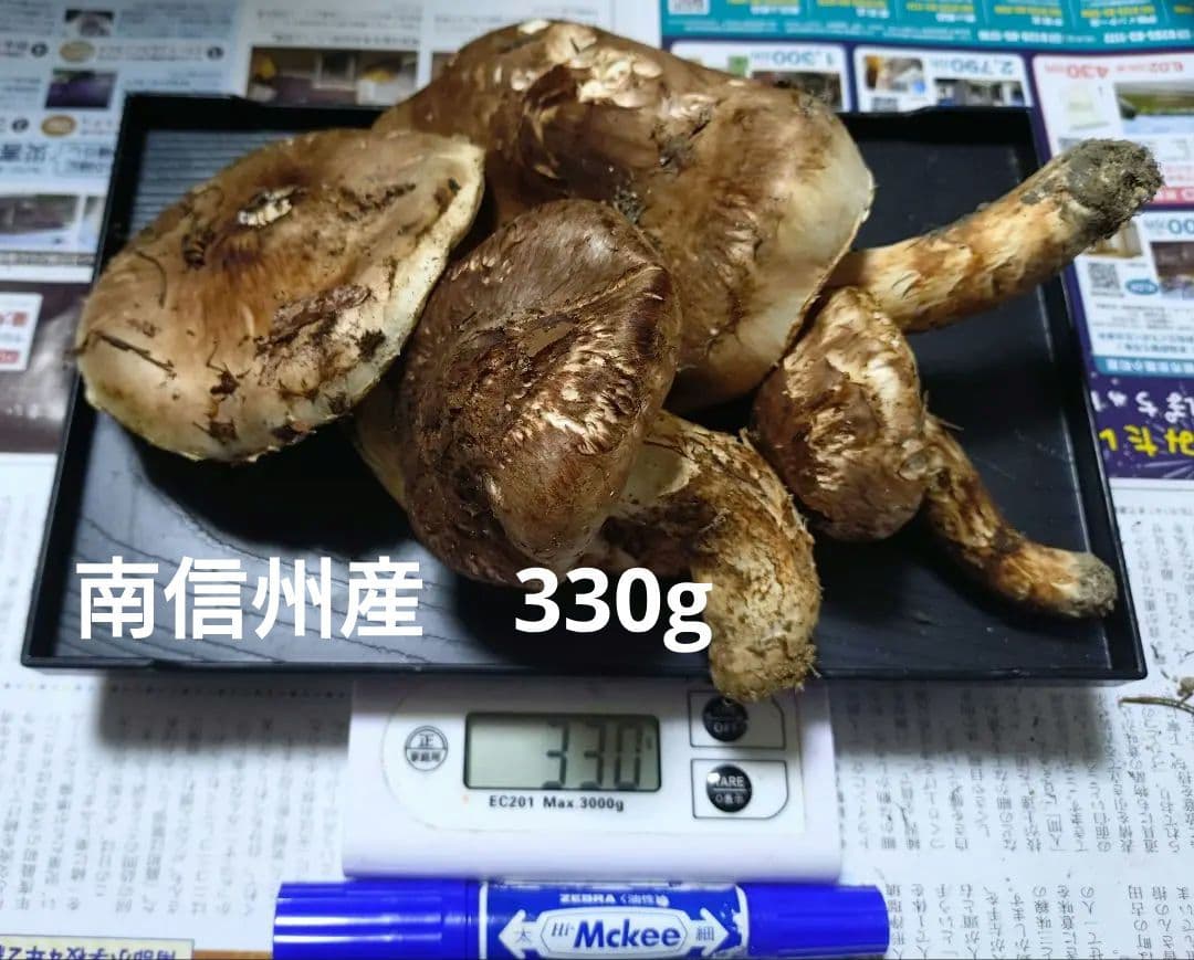 長野県産　南信州産　松茸　330g