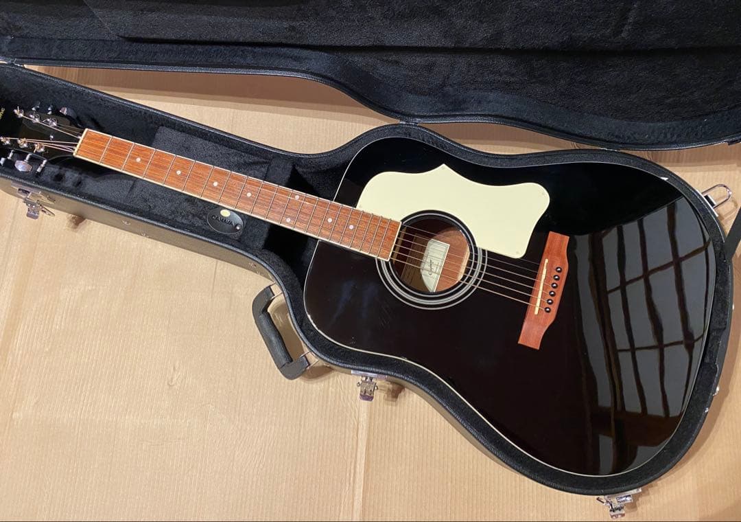 Epiphone DR-100 EB エボニー ハードケース付