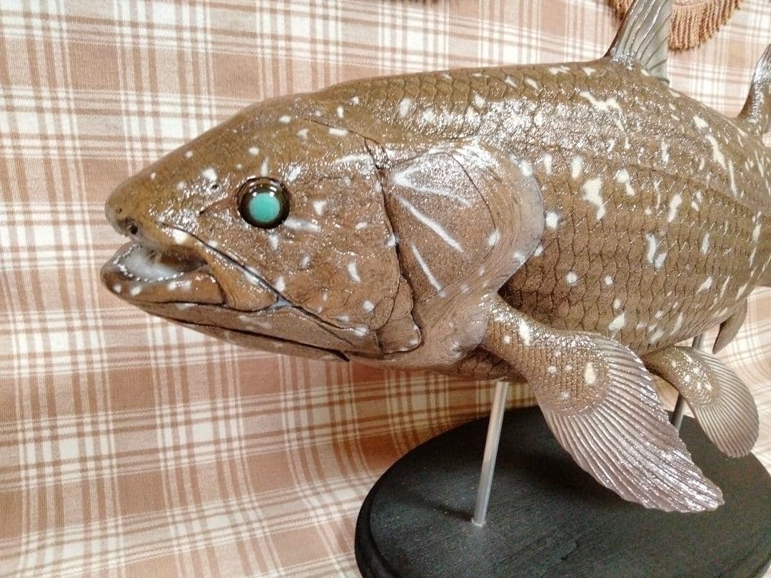 ハンドメイド　61cmシーラカンス　茶色　フィギュア　レプリカ　化石魚　置物