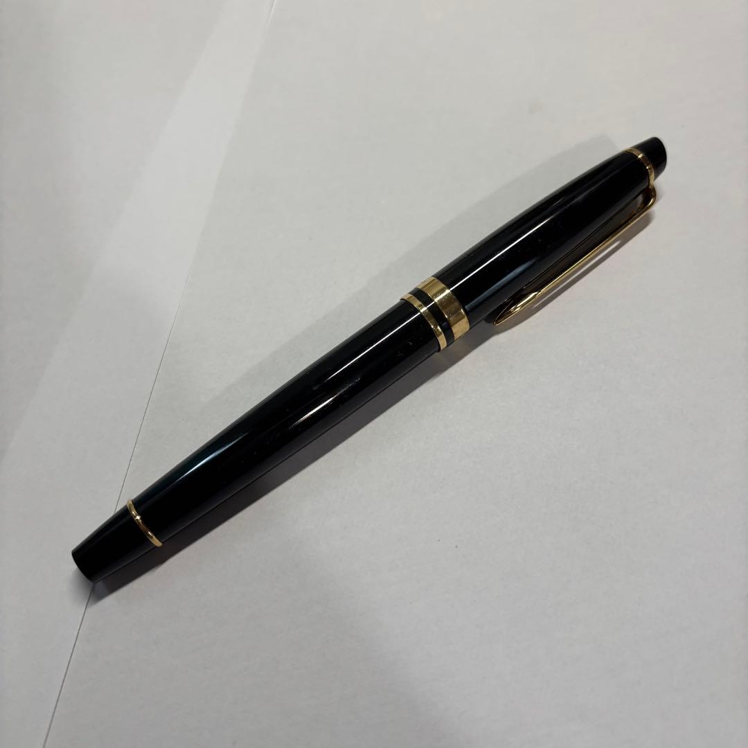 WATERMAN 万年筆 エキスパート エッセンシャル ブラックGT M（中字）