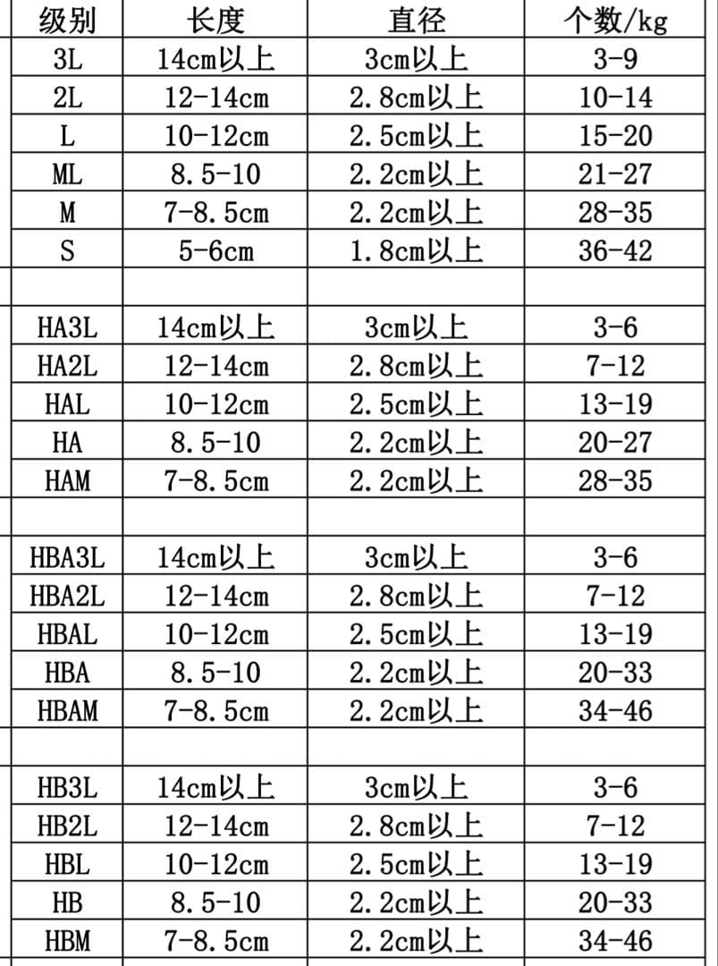 週末限定大特価！！雲南省産新鮮松茸　 つぼみS 約1kg