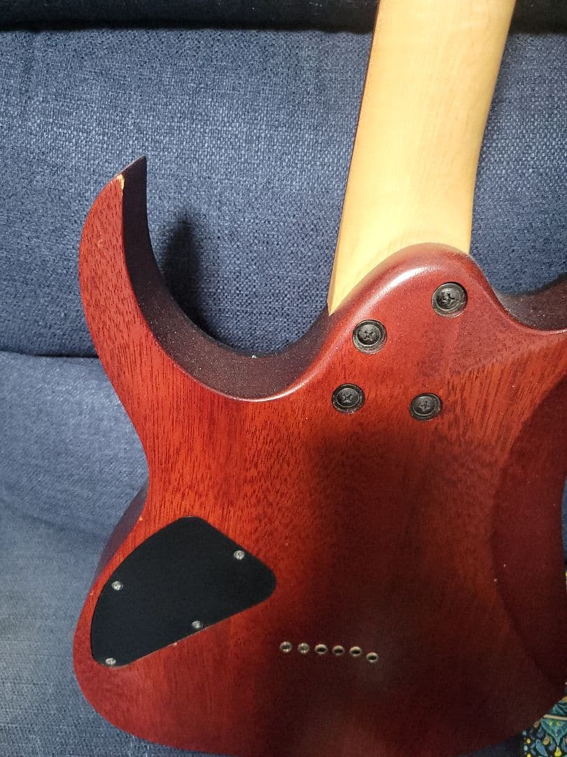 アイバニーズ　Ibanez RG421PB　動作品　おまけ盛り沢山