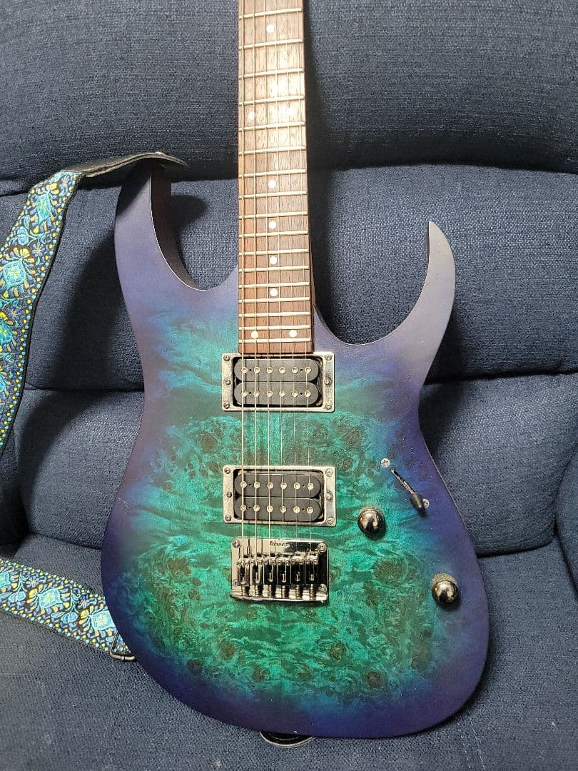 アイバニーズ　Ibanez RG421PB　動作品　おまけ盛り沢山