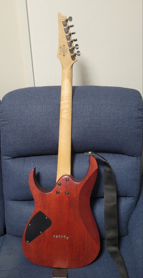 アイバニーズ　Ibanez RG421PB　動作品　おまけ盛り沢山