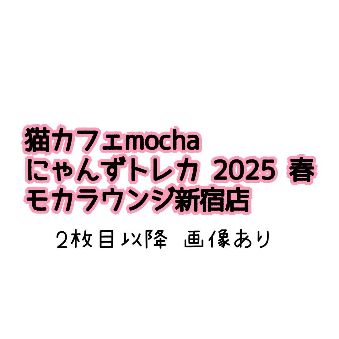 【猫カフェMOCHA 】モカラウンジ新宿店 2025年 春 Spring トレカ