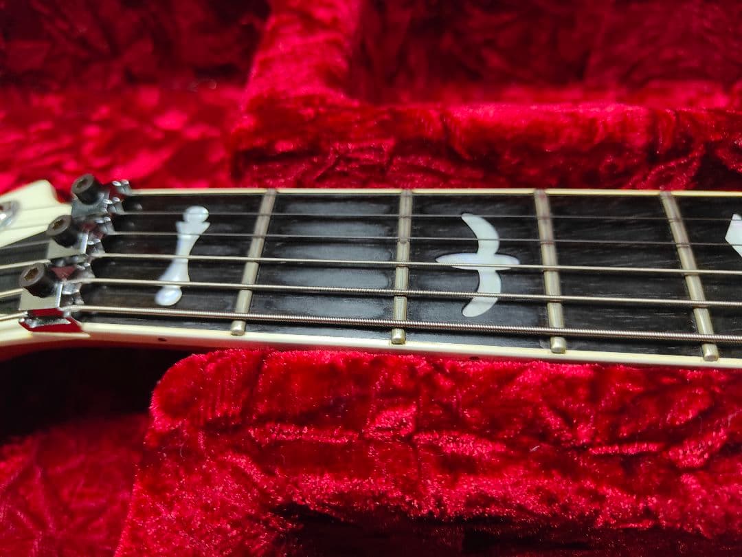CAPARISON DELIINGER CA クリストファーアモットモデル