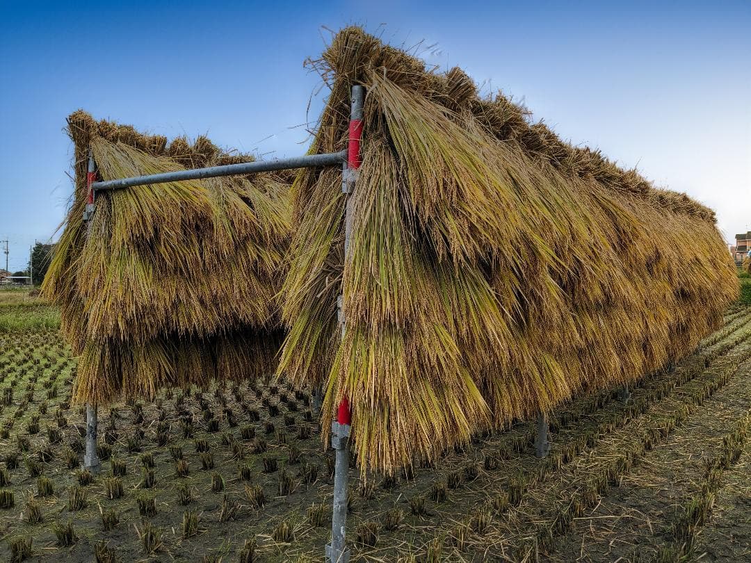 縁（エン）　こだわりのお米（玄米）10kgと米粉1.5kg