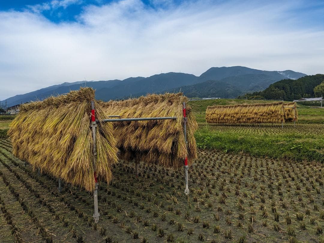 縁（エン）　こだわりのお米（玄米）10kgと米粉1.5kg