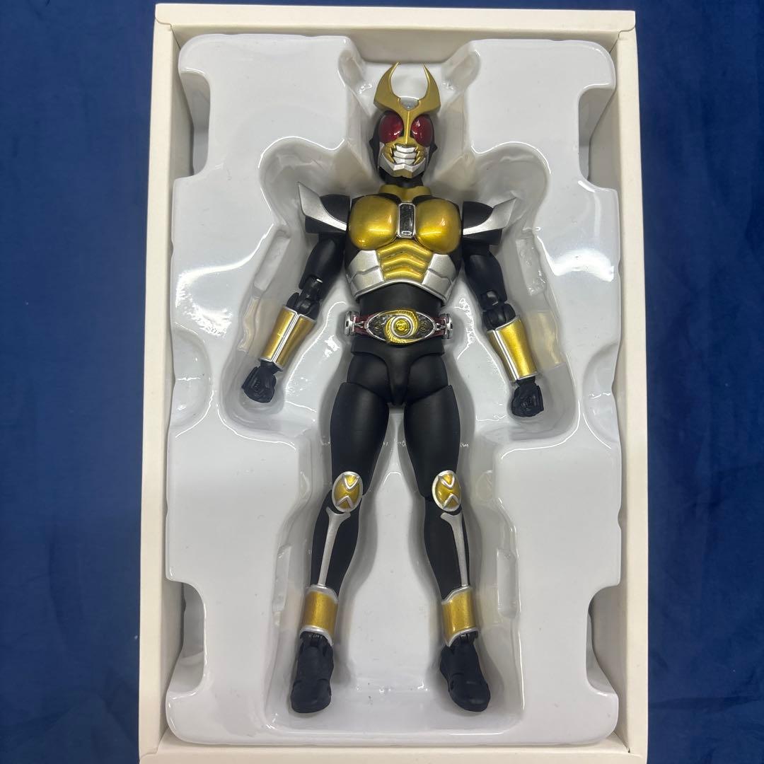 ジャンク品　真骨彫仮面ライダー