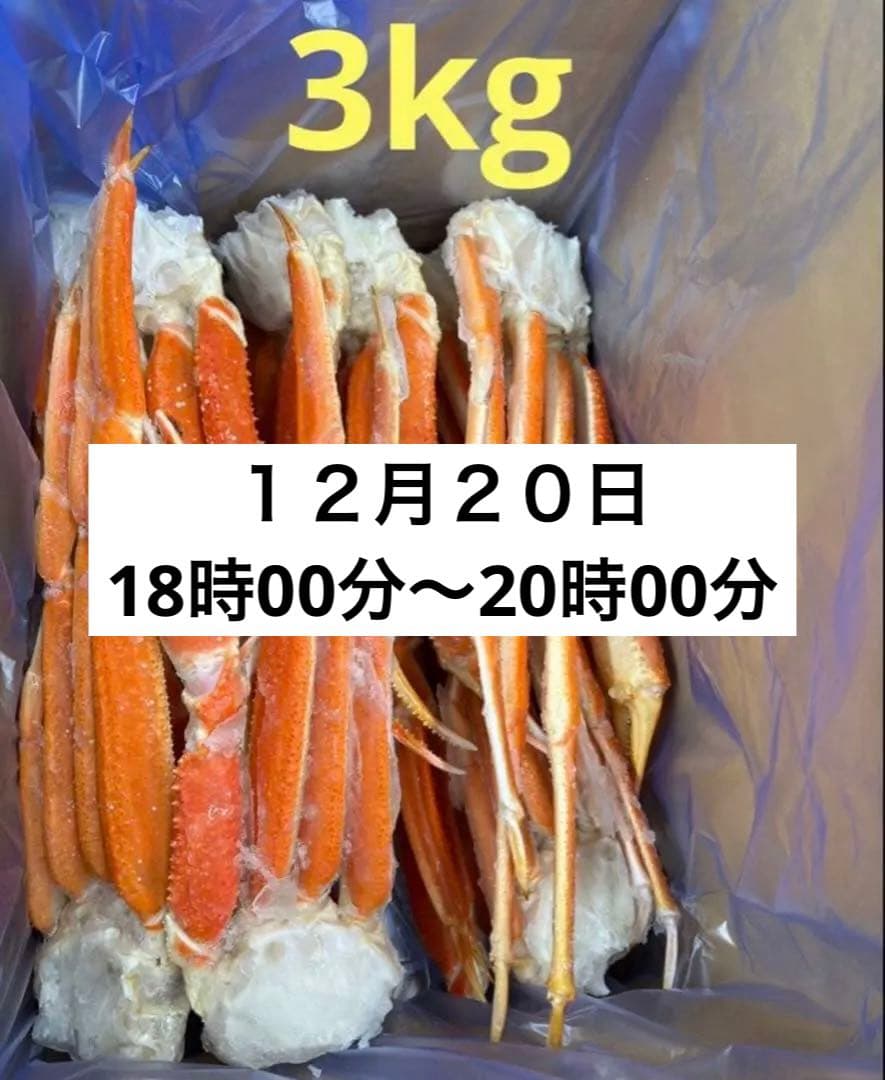 【２０日18時00分～20時00分】シャイン　3キロ　本ズワイガニ