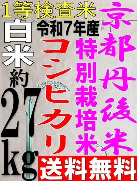 一等検査 特別栽培米 令和7年産 京都 丹後 コシヒカリ 白米 約 27kg
