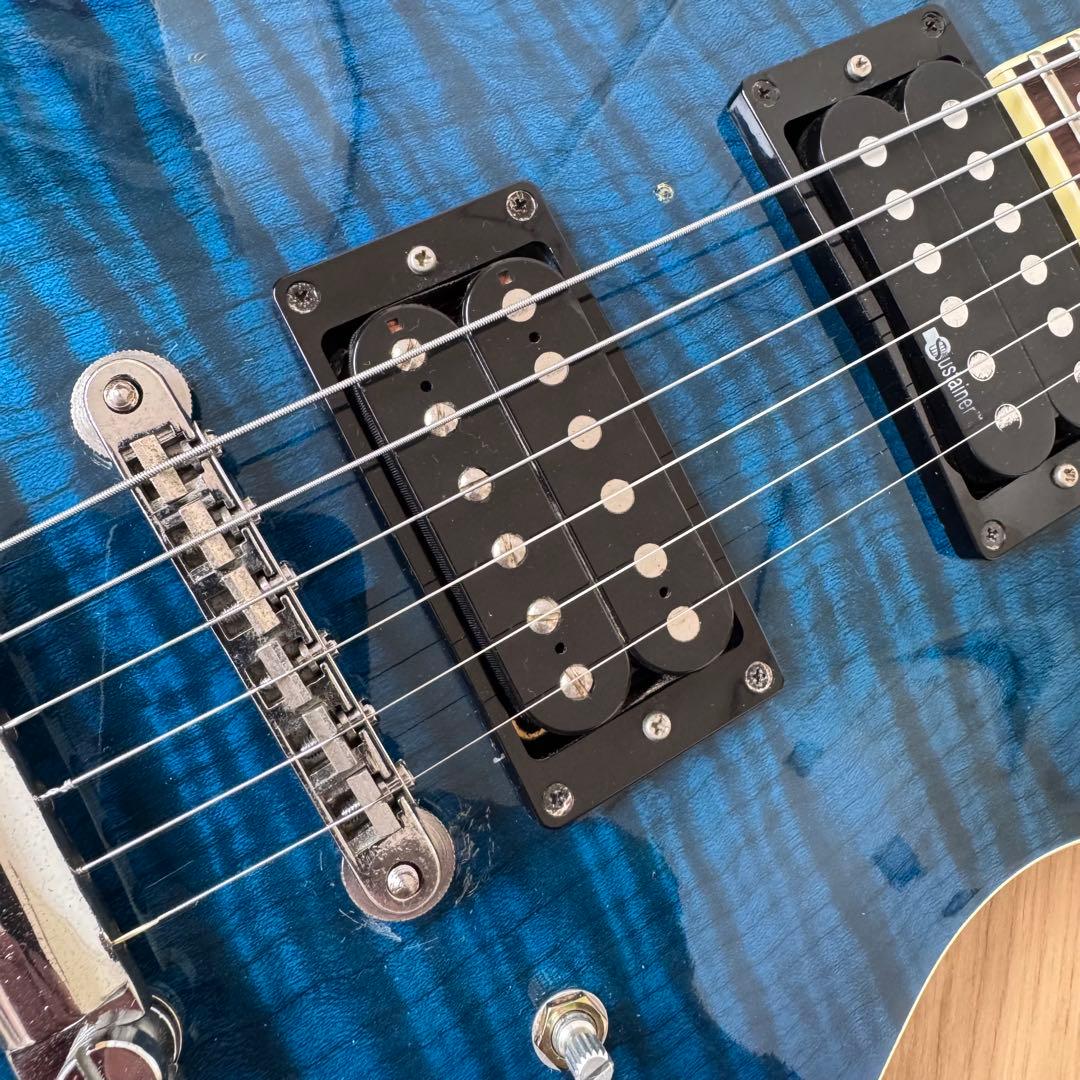 FERNANDES APG-55S サスティナー