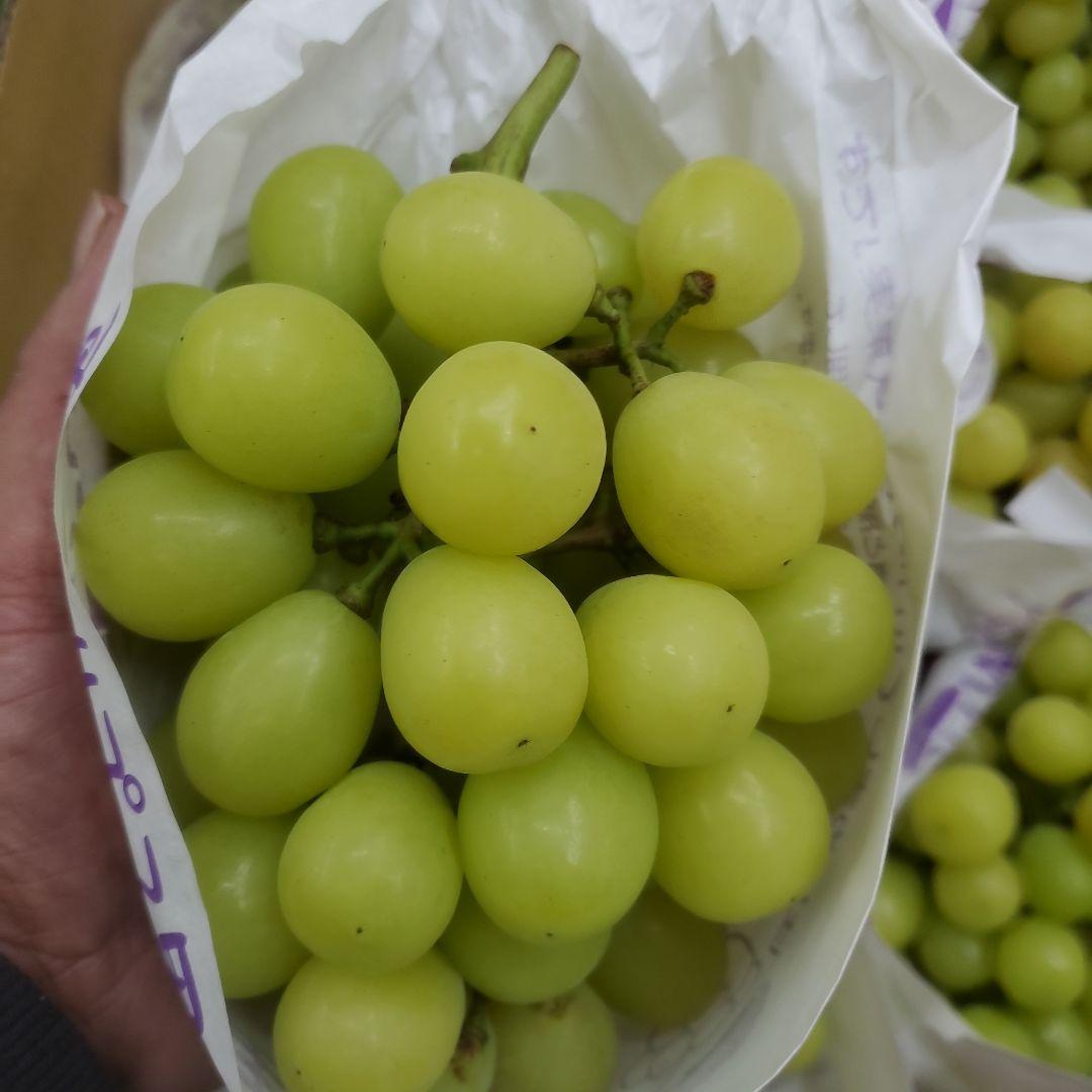9️⃣ 山梨県産 シャインマスカット １２房入り 箱込み5.4キロ