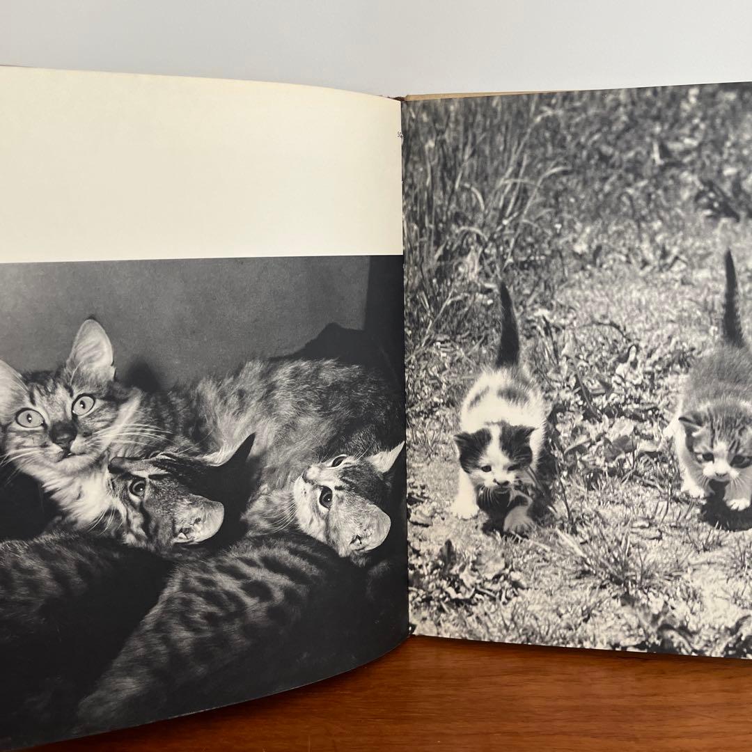 猫 写真集 CHATS HENRI SAAS フランスヴィンテージ