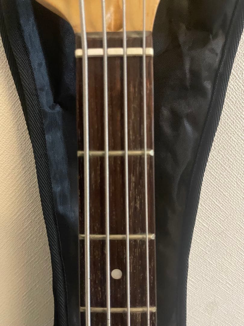 【美品】SX STANDARD SERIES CUSTOM HANDMADE