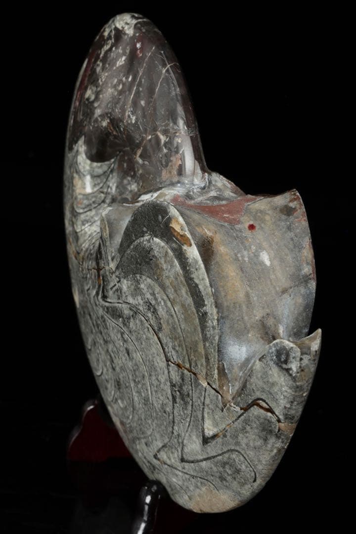 天然アンモナイト化石 重量2.8kg 古生物標本 化石標本 古代海洋生物 鑑賞石