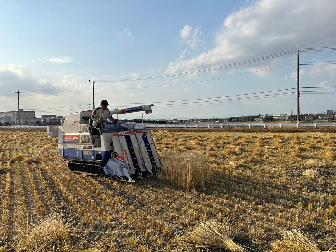 令和7年産！10kg 新麦　キラリモチ　もち麦　国産　雑穀　玄米　日本産　米代用