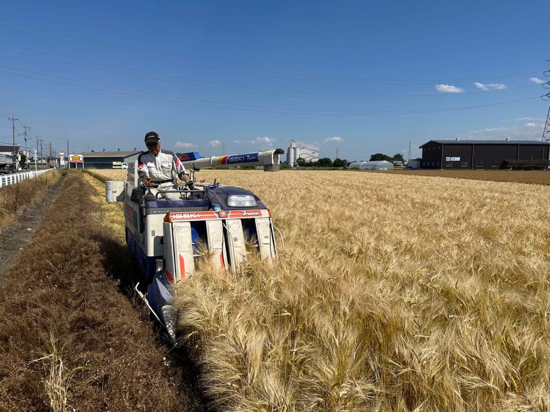 令和7年産！10kg 新麦　キラリモチ　もち麦　国産　雑穀　玄米　日本産　米代用