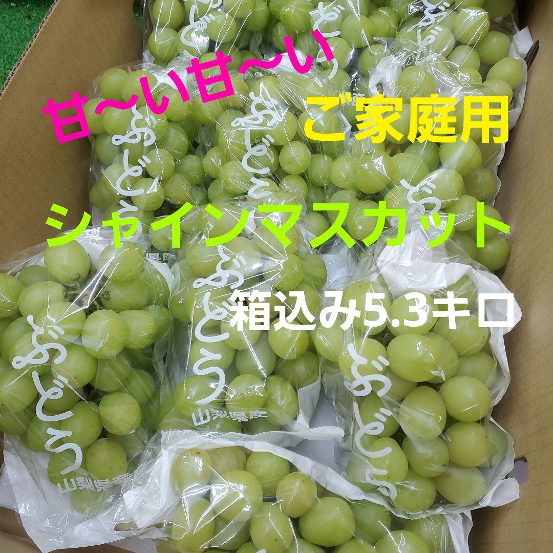 1⃣4️⃣ 山梨県産 シャインマスカット １０房入り 箱込み5.3キロ