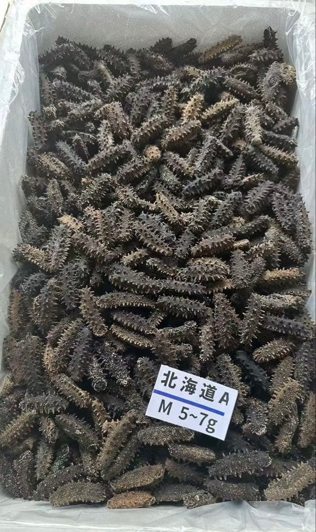 【北海道産】 乾燥なまこ 厳選A級品 200g Mサイズ　5.0g-7.0g