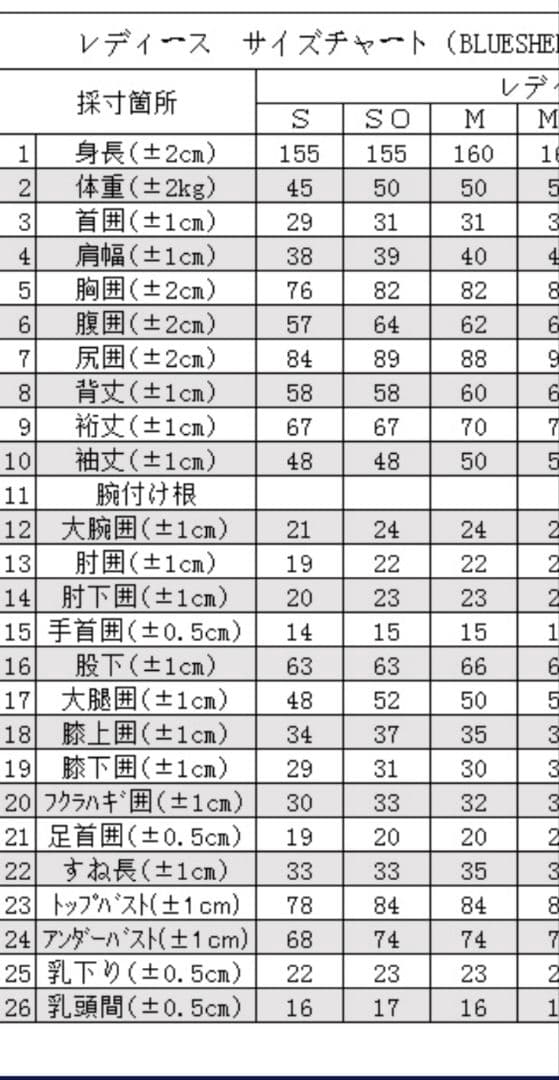レデースタッパー　ビーバーテール