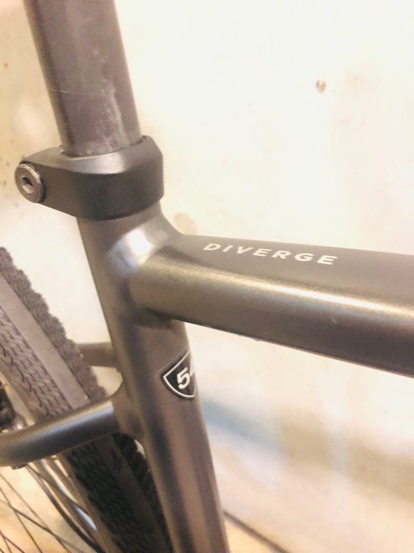 【SPECIALIZED】DIVERGE E5 カスタム　油圧　RIVAL1