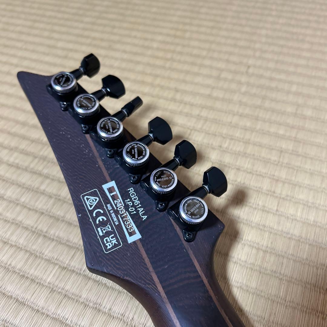 Ibanez RGD61ALA MTR FISHMAN Fluence搭載