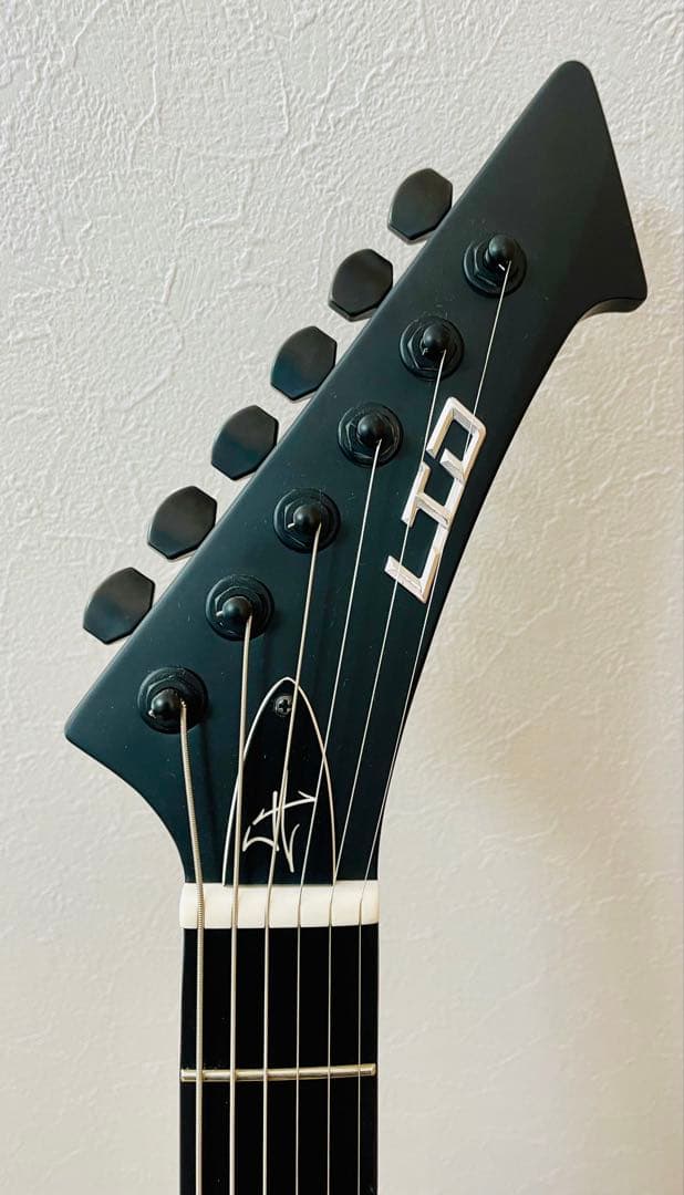 ESP LTD Vulture James Hetfield シグネチャーモデル
