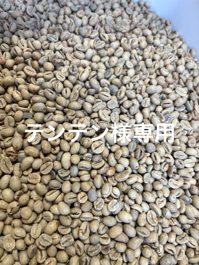 コーヒー生豆/おまかせ5種10kg
