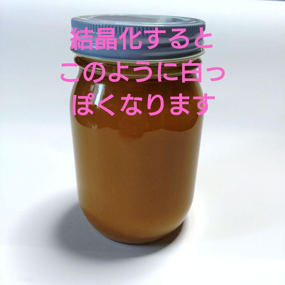 よー　ニホンミツバチ　蜂蜜　　信州産　無添加・非加熱　580g×2本