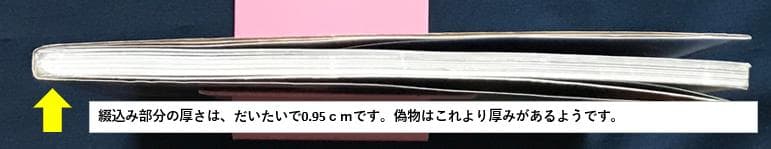 ・ZARD坂井水　歌手デビュー前蒲池幸子さん時代 写真集「NOCTURNE」