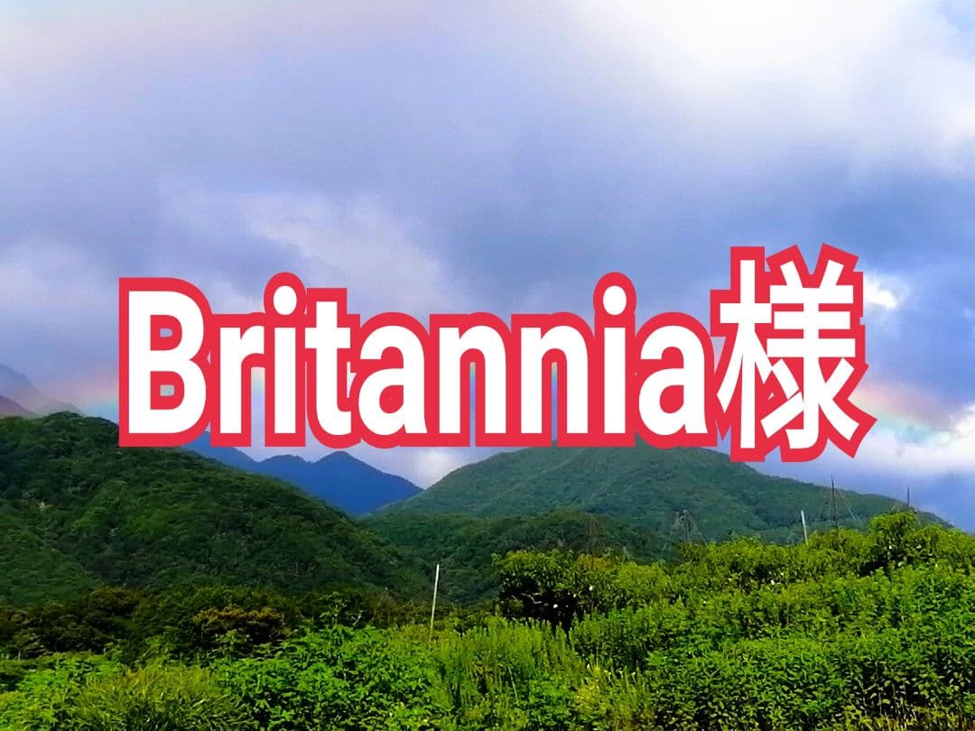 Britannia様　至高の大蜂屋　大和百目柿　干し柿　あんぽ柿