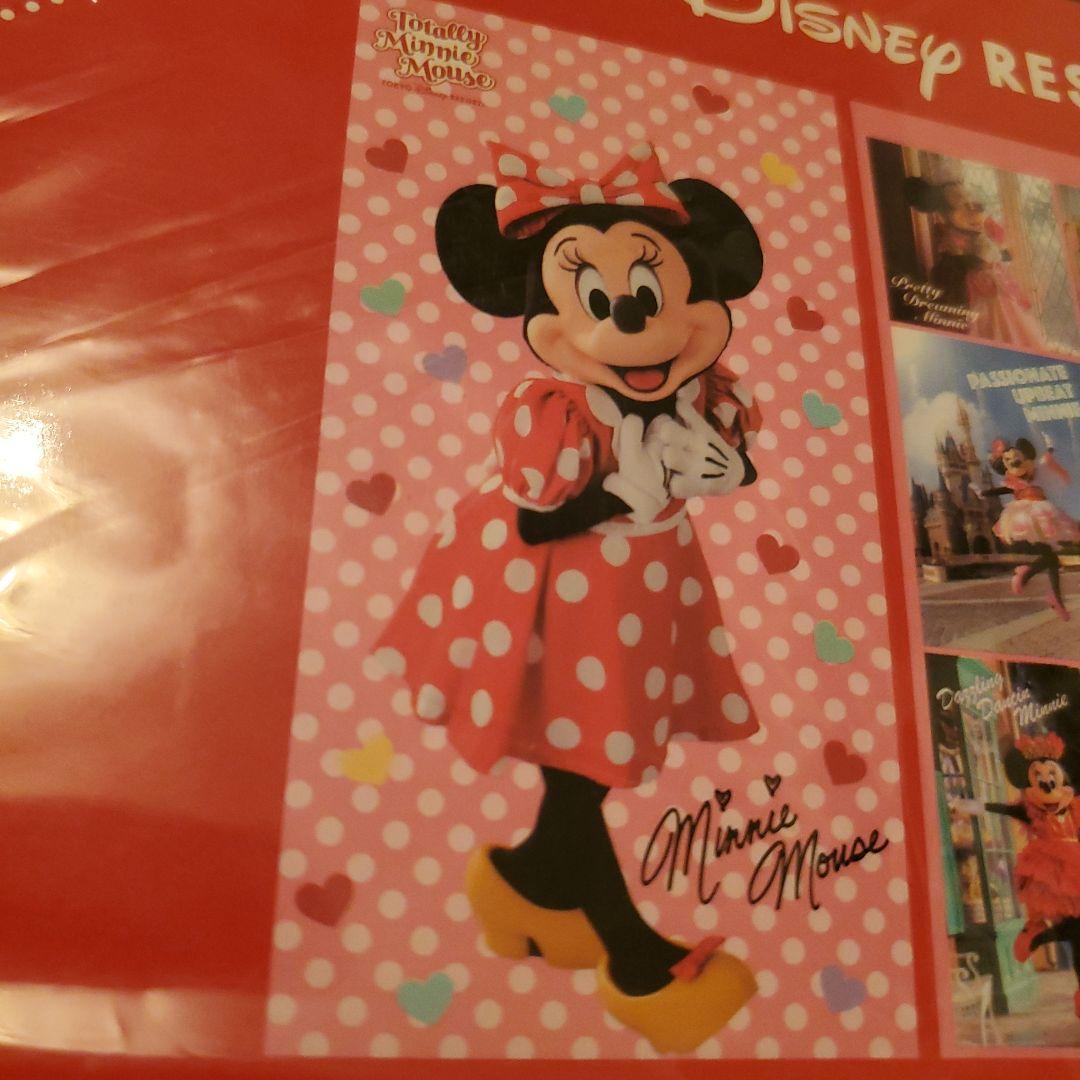 Totally Minnie Mouse フラットカーテン(２枚入り)
