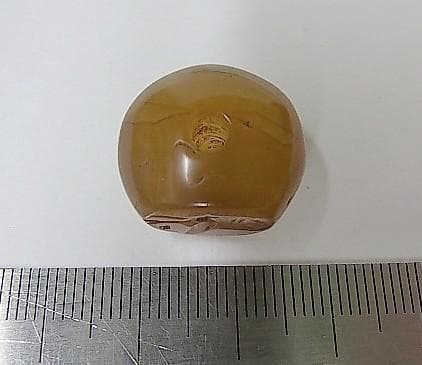 ★B1205★古代石 (260) 美品　西アジア　印章石　茶瑪瑙　羽虫　スタンプ