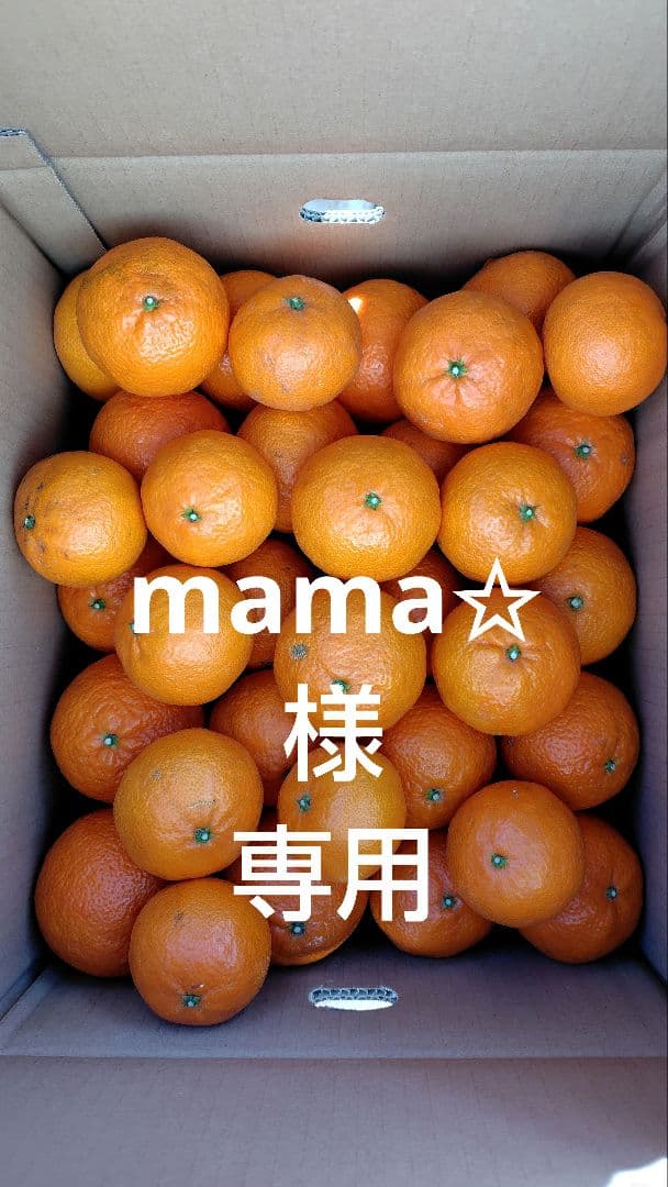 津之輝10㎏(家庭用)mama✩#6