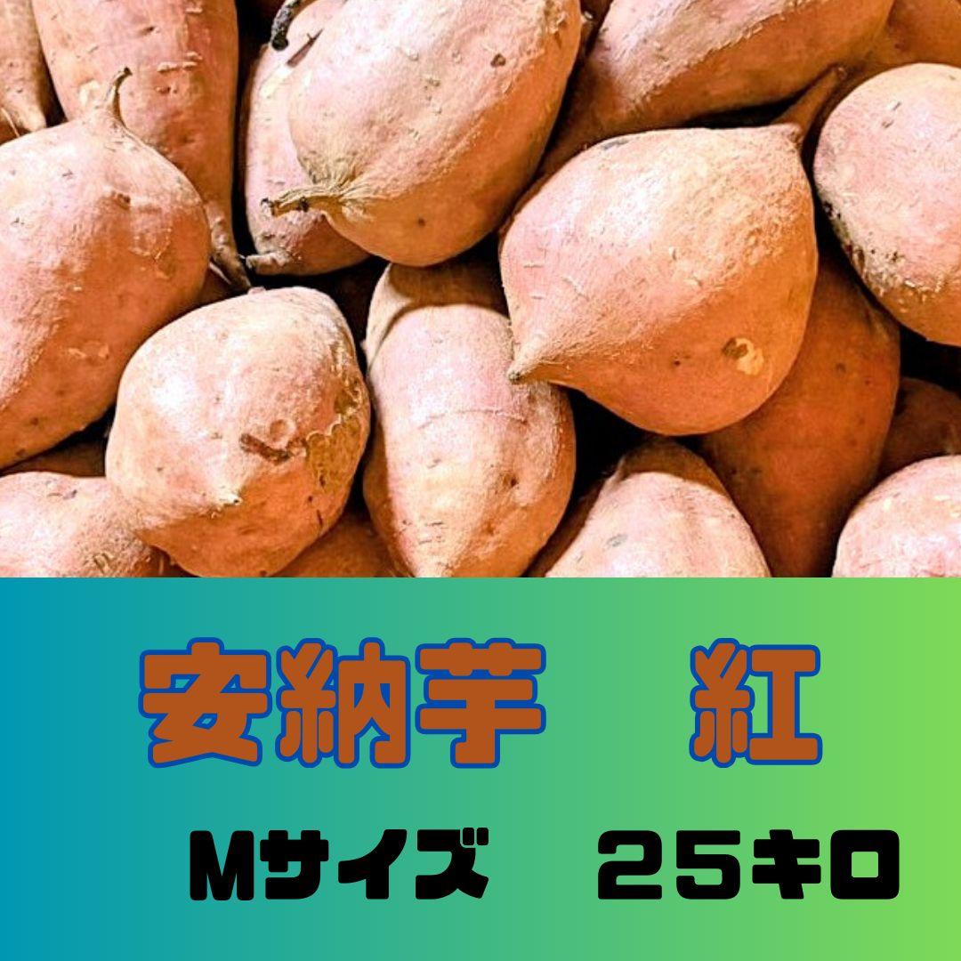 安納芋(紅) Mサイズ 25キロ　種子島産 ◆大地と太陽と潮風に育まれた安納芋◆