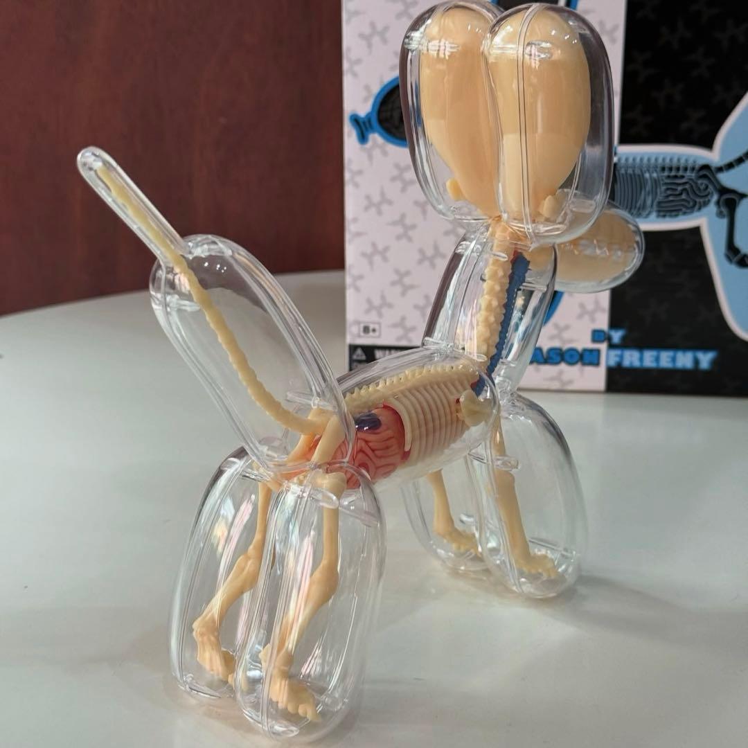 4DMASTER Balloon Dog Anatomy バルーンドッグ