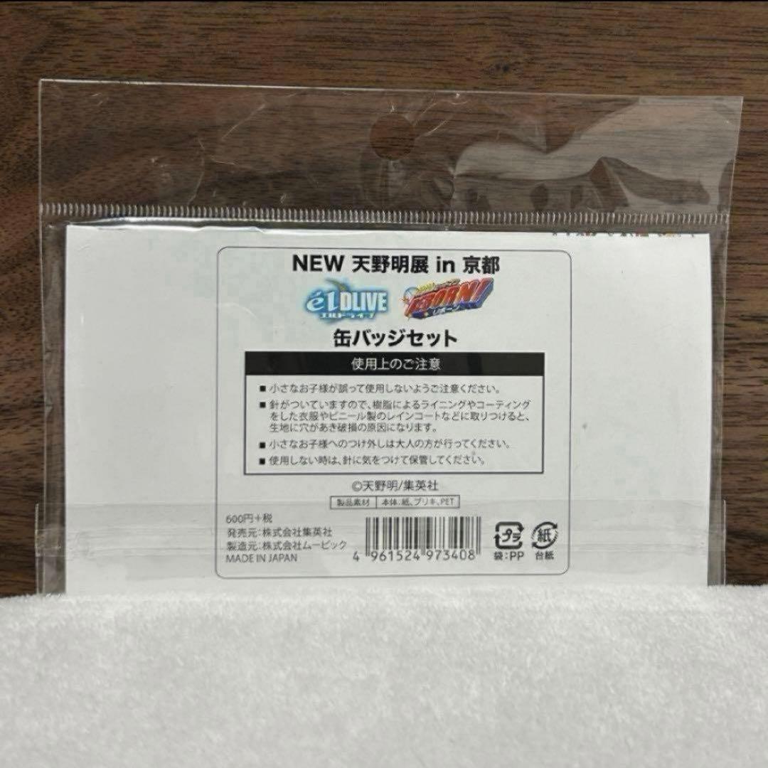家庭教師ヒットマンREBORN! 天野明展 in 京都 缶バッジ 沢田綱吉 限定