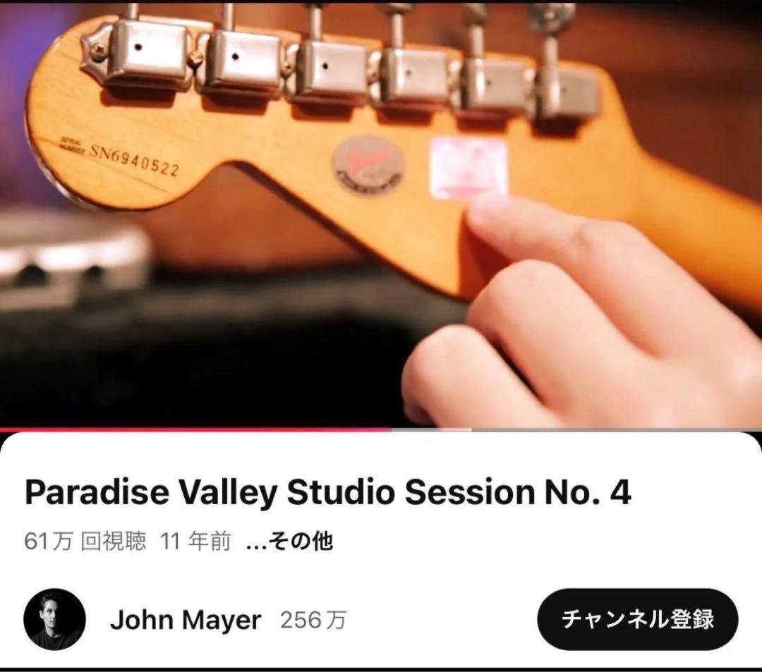 Fender USA Stevie ray vaughanモデル