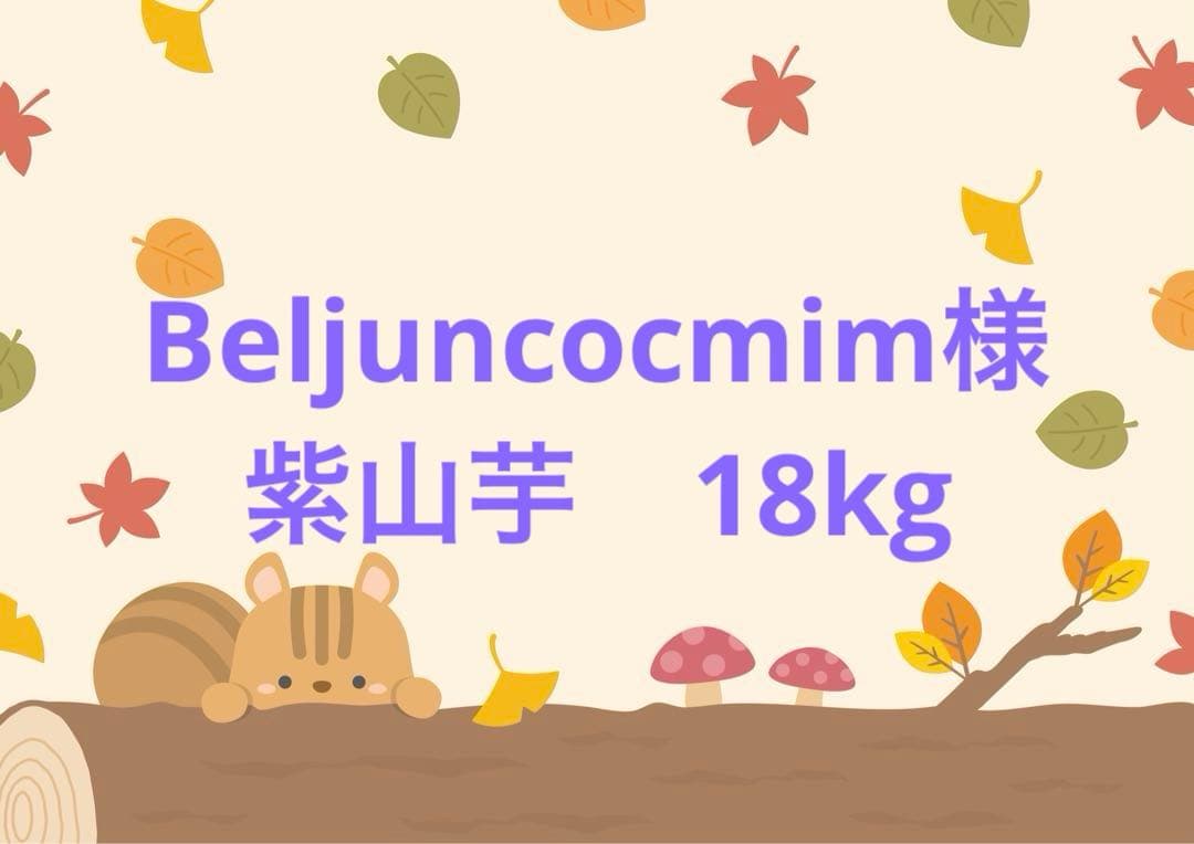 紫山芋　18kg