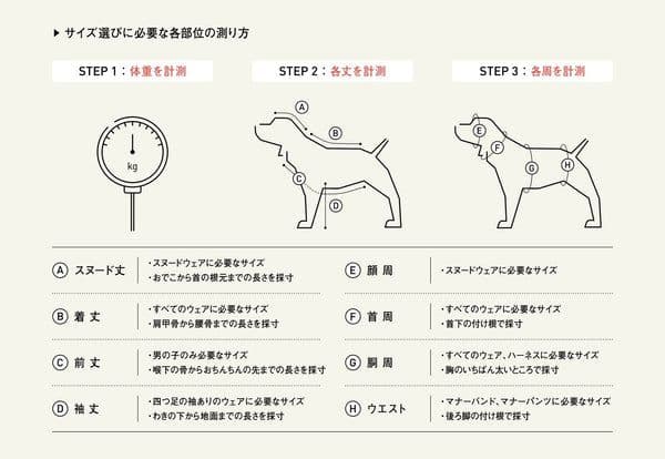 新品 試着のみ ALPHAICON レインドッグガード 2025年 モデル 3L