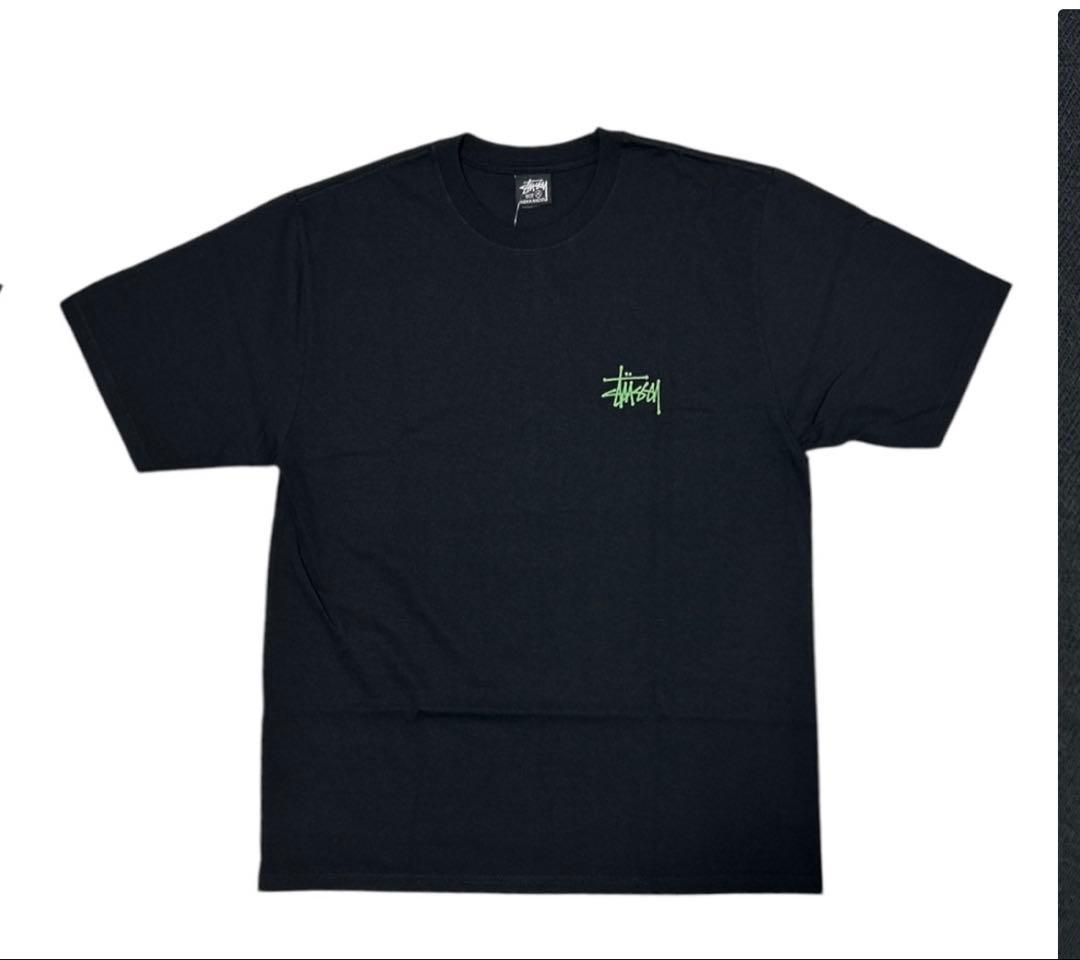 STUSSY 魚グラフィック Tシャツ
