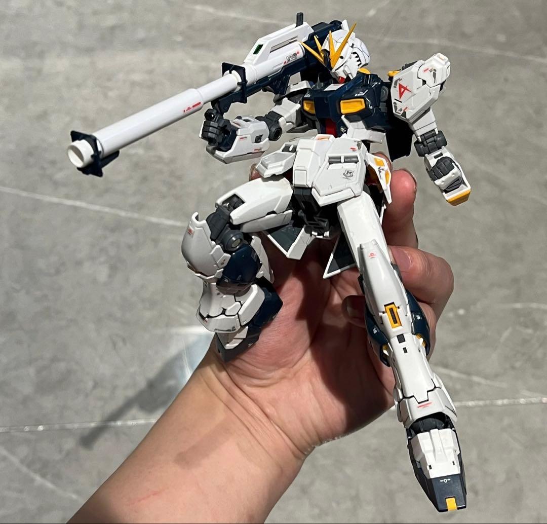 RG ガンプラ 完成品2体セット