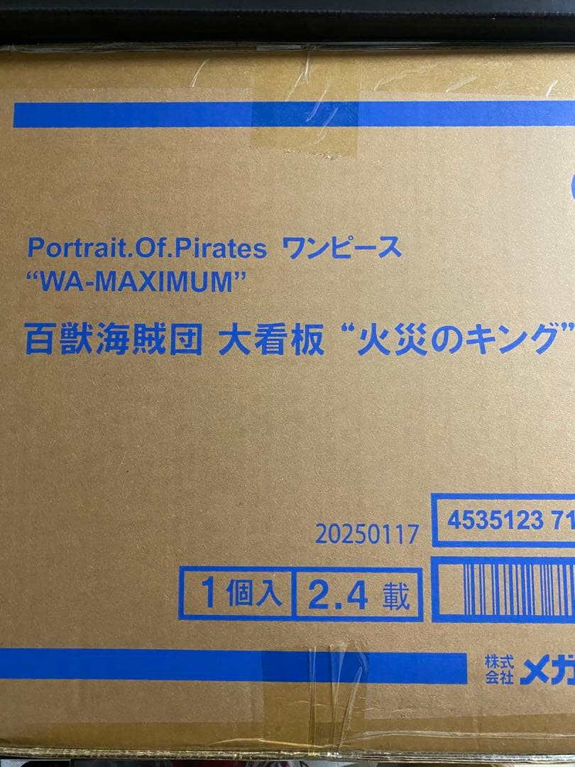 POPワンピース Portrait Of Pirates 火災のキング②