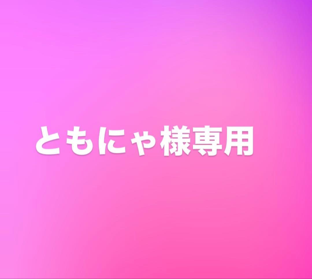 【値下げ不可】すとぷり　ころんくん　ころわん　アプグレ　1/4 一部　二部