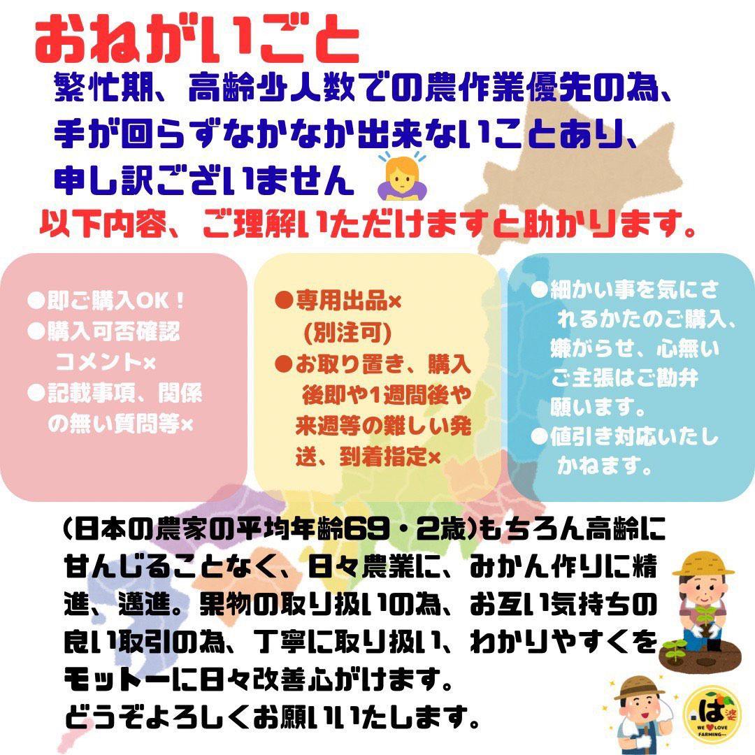 ※確認用　大玉MIX箱込み4.5kg以上【ハウス栽培　不知火　デコポン　肥の豊】