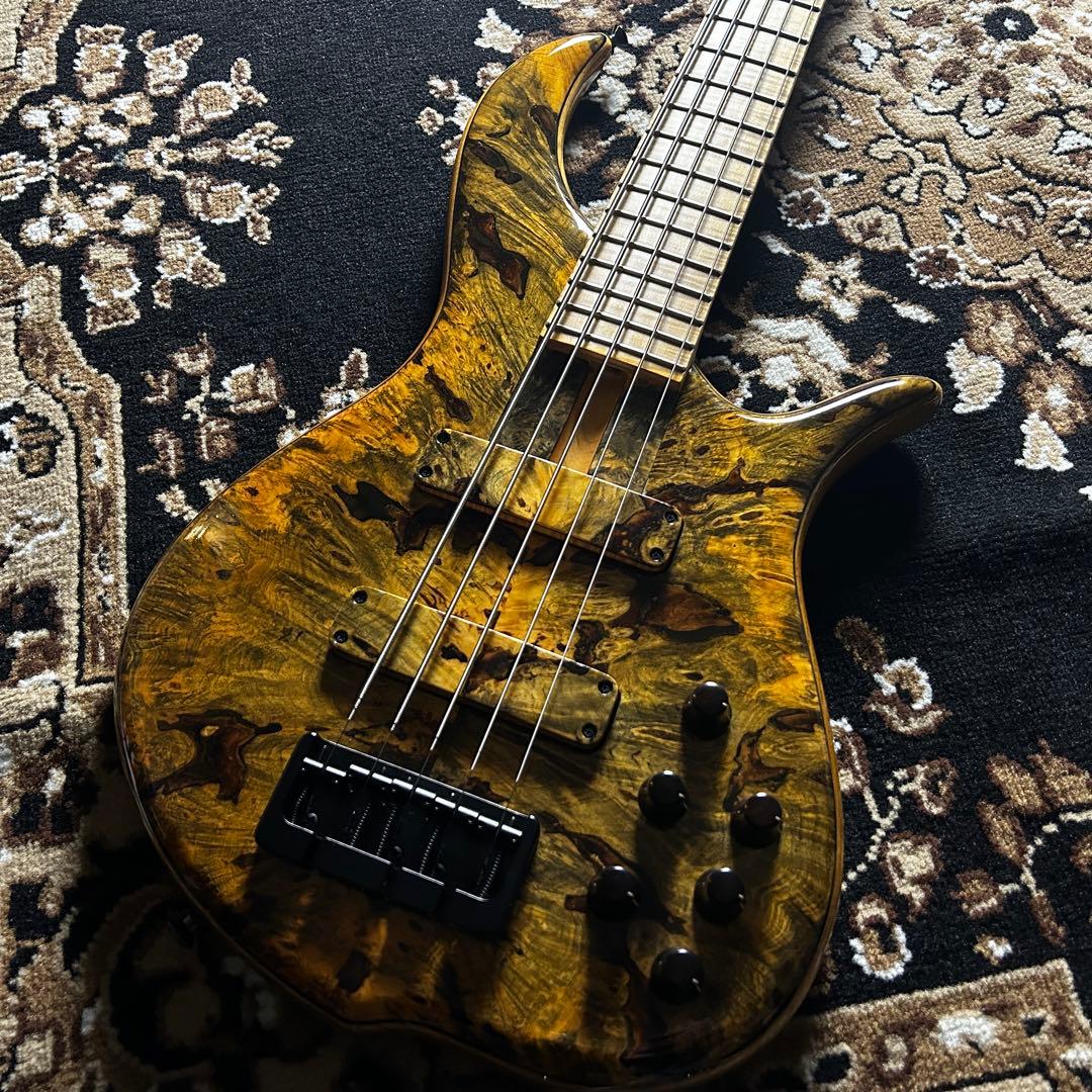 ベース F bass BN-5 buckeye burl